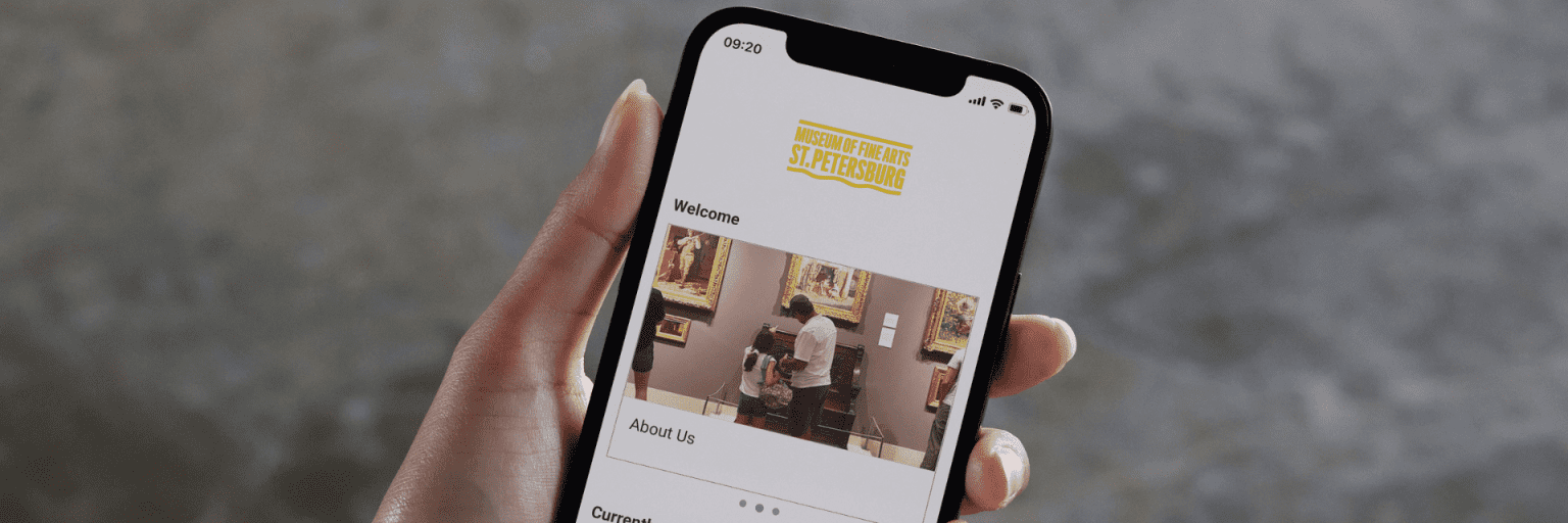 Free Digital Guide - Museum of Fine Arts, St. Petersburg
