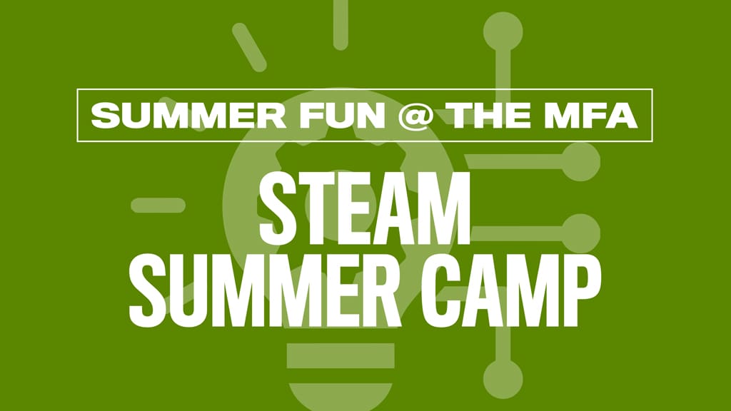 Summer Camps at the MFA: STEAM Summer Camp - Museum of Fine Arts, St ...